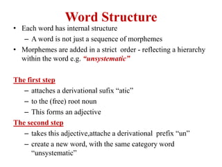A Brief Introduction of Morphology | PPTX
