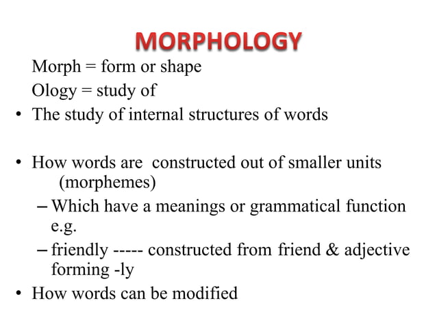 A Brief Introduction of Morphology | PPTX