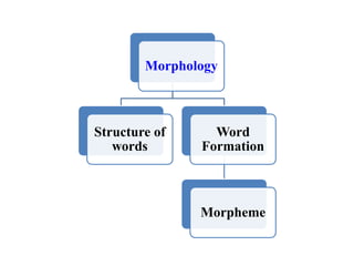 A Brief Introduction of Morphology | PPTX