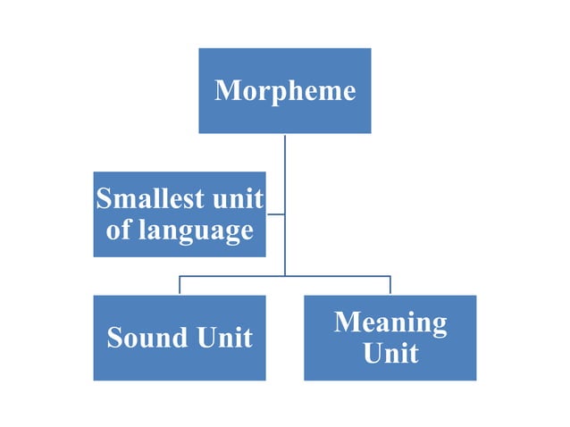 A Brief Introduction of Morphology | PPTX