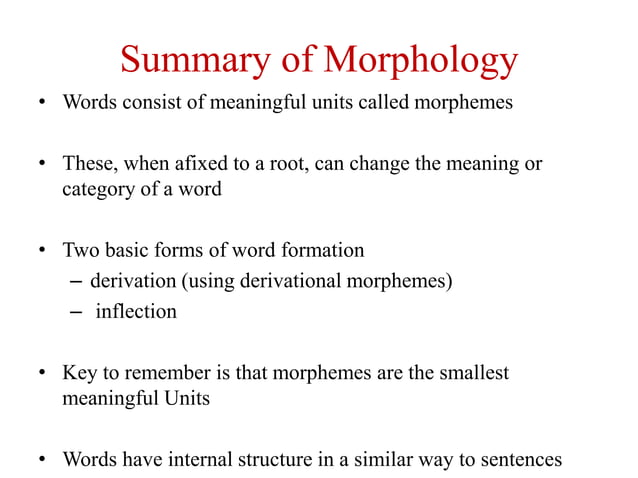 A Brief Introduction of Morphology | PPTX
