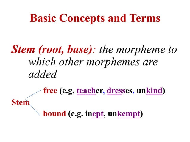 A Brief Introduction of Morphology | PPTX