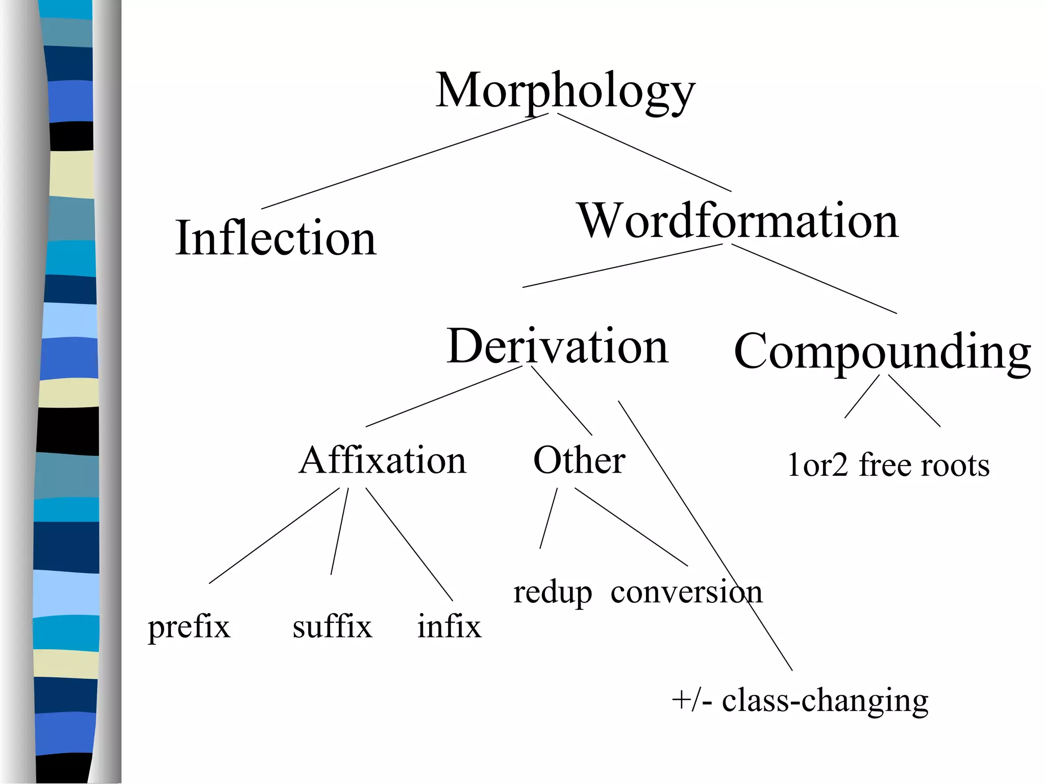 Morphology | PPT