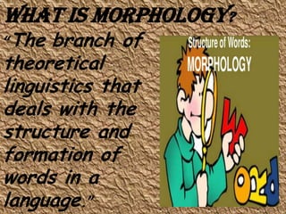 Morphology | PPTX | Geology | Science