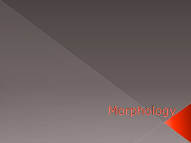 Morphology | PPTX | Brain and Nervous System Disorders | Diseases and ...