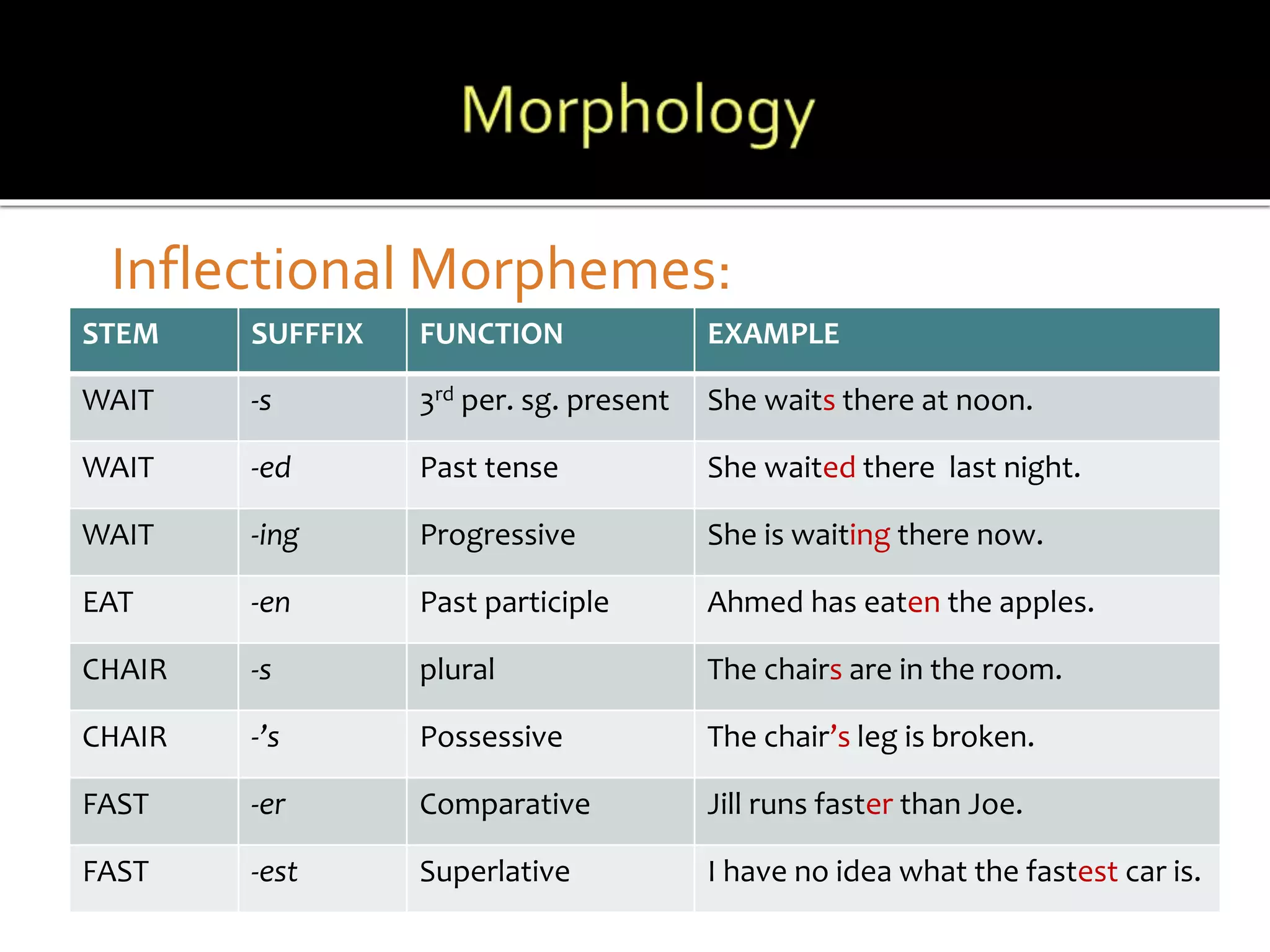 Morphology | PPTX