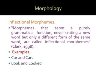 Morphology | PPT
