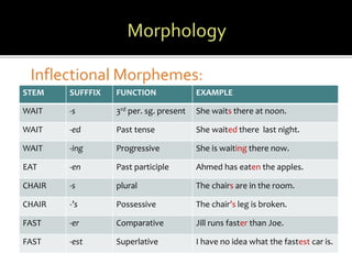 Morphology | PPT
