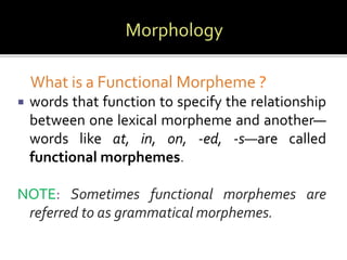 Morphology | PPT