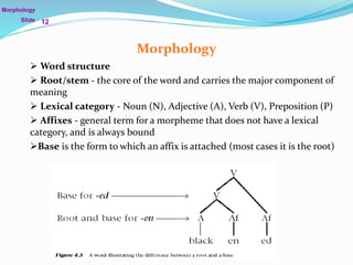 Morphology | PPT