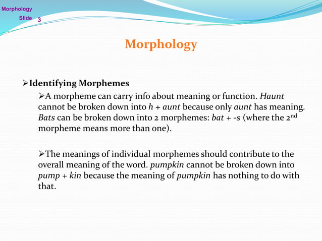 Morphology | PPT