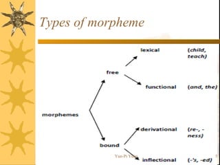 Morphology of language | PPT