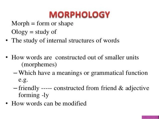 Morphology 150301031003-conversion-gate01