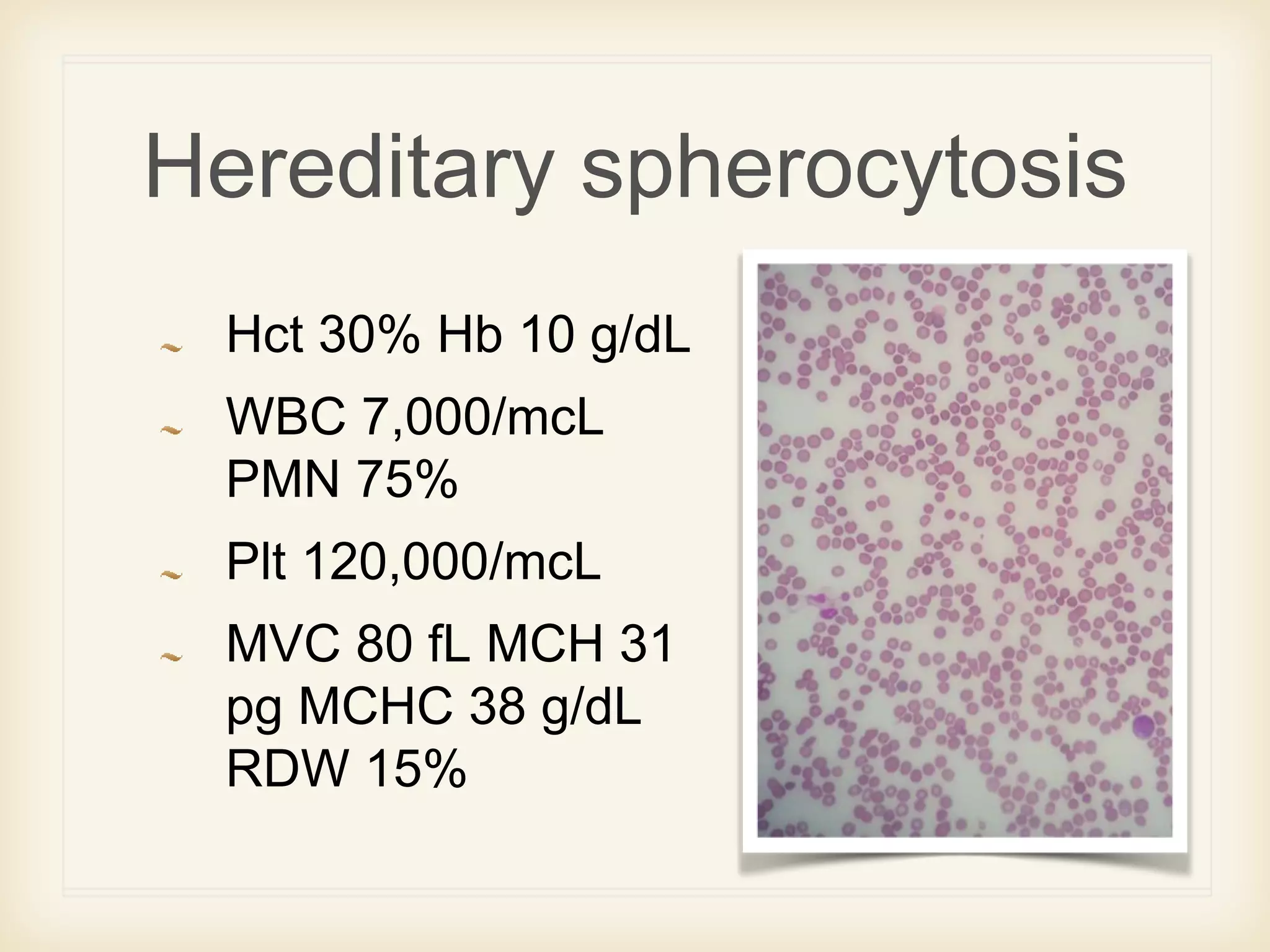 Blood smear morphology | PPTX