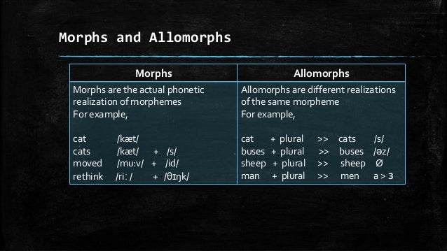 Morphology
