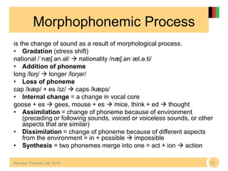 Morphology | PPTX
