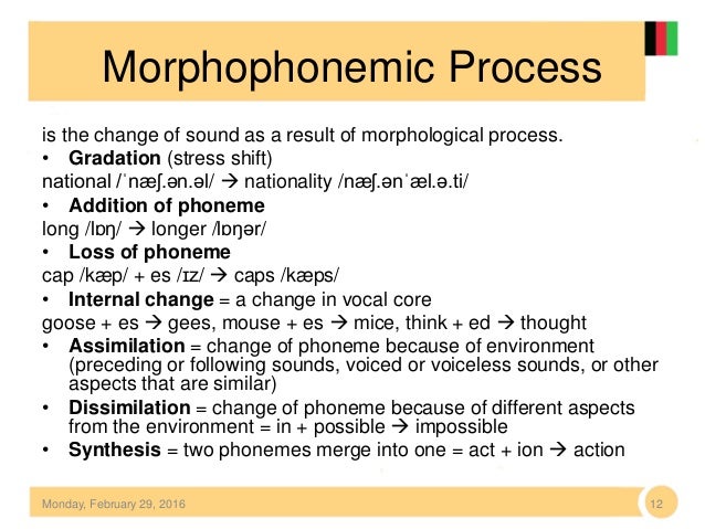 Morphology