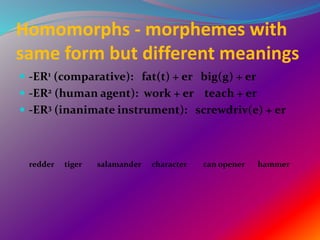Morphology | PPT