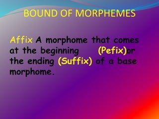 Morphology | PPT