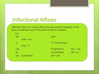 Morphology | PPT