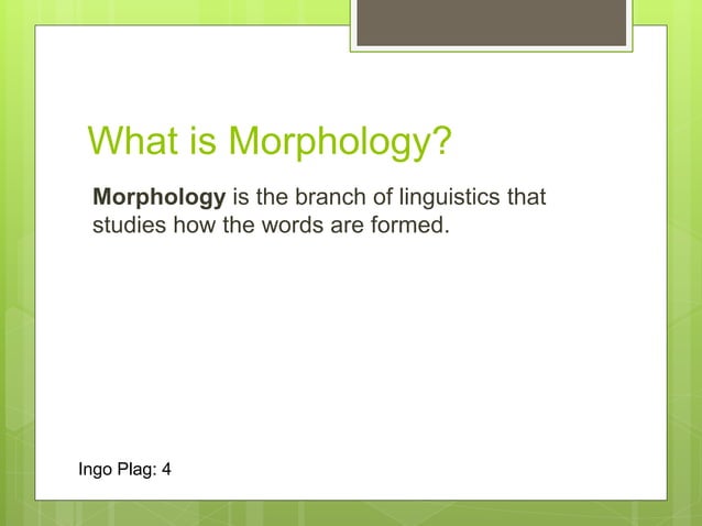 Morphology | PPT