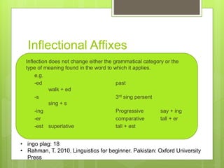 Morphology | PPT