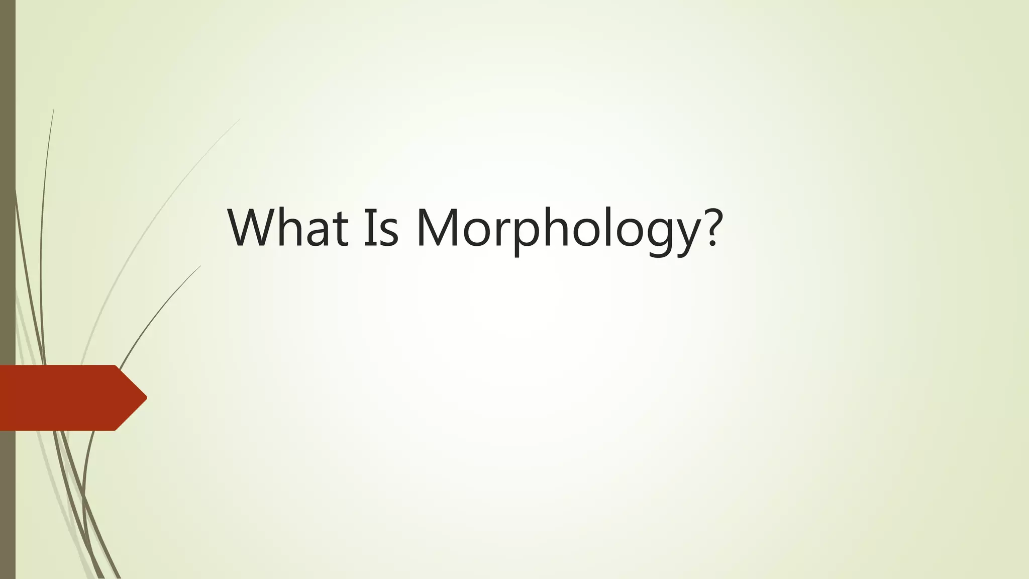 Morphology | PPT