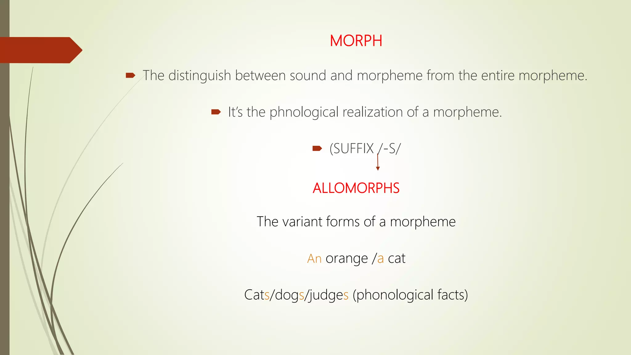 Morphology | PPTX