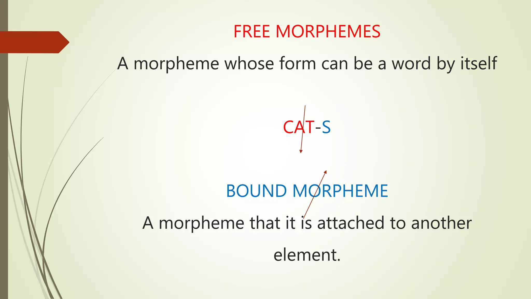 Morphology | PPTX
