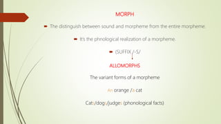 Morphology | PPT
