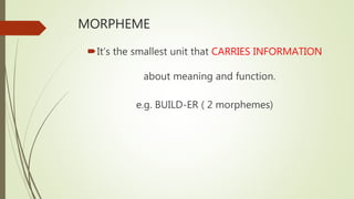 Morphology | PPTX