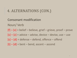 Morphology | PPTX | Internet for Beginners | Internet