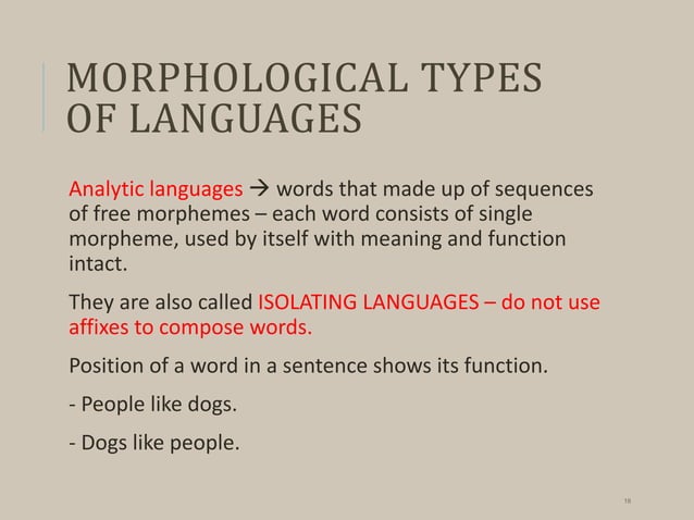Morphology | PPTX | Internet for Beginners | Internet