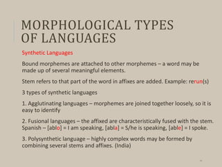 Morphology | PPTX