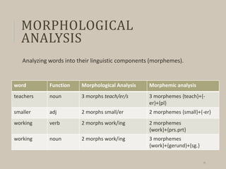 Morphology | PPTX