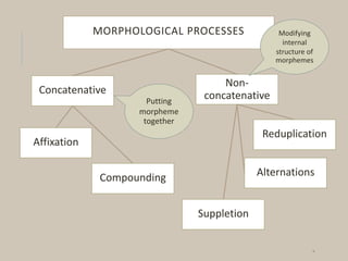 Morphology | PPTX