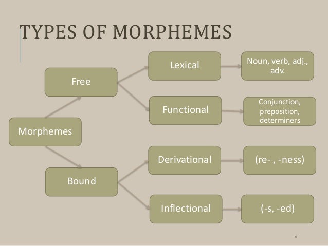 Morphology