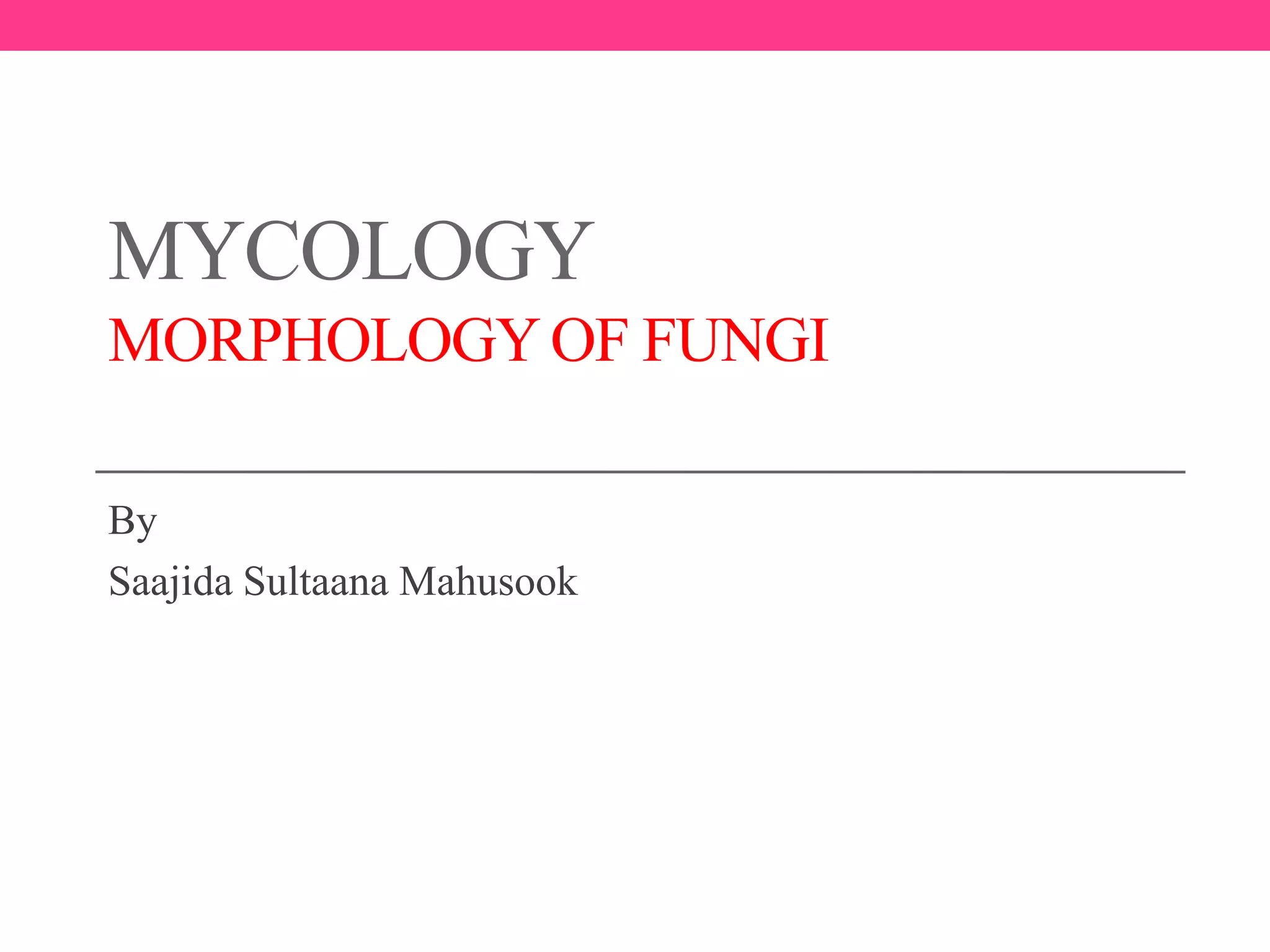 Morphology of Fungi | PPTX