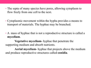 Morphology of Fungi | PPTX