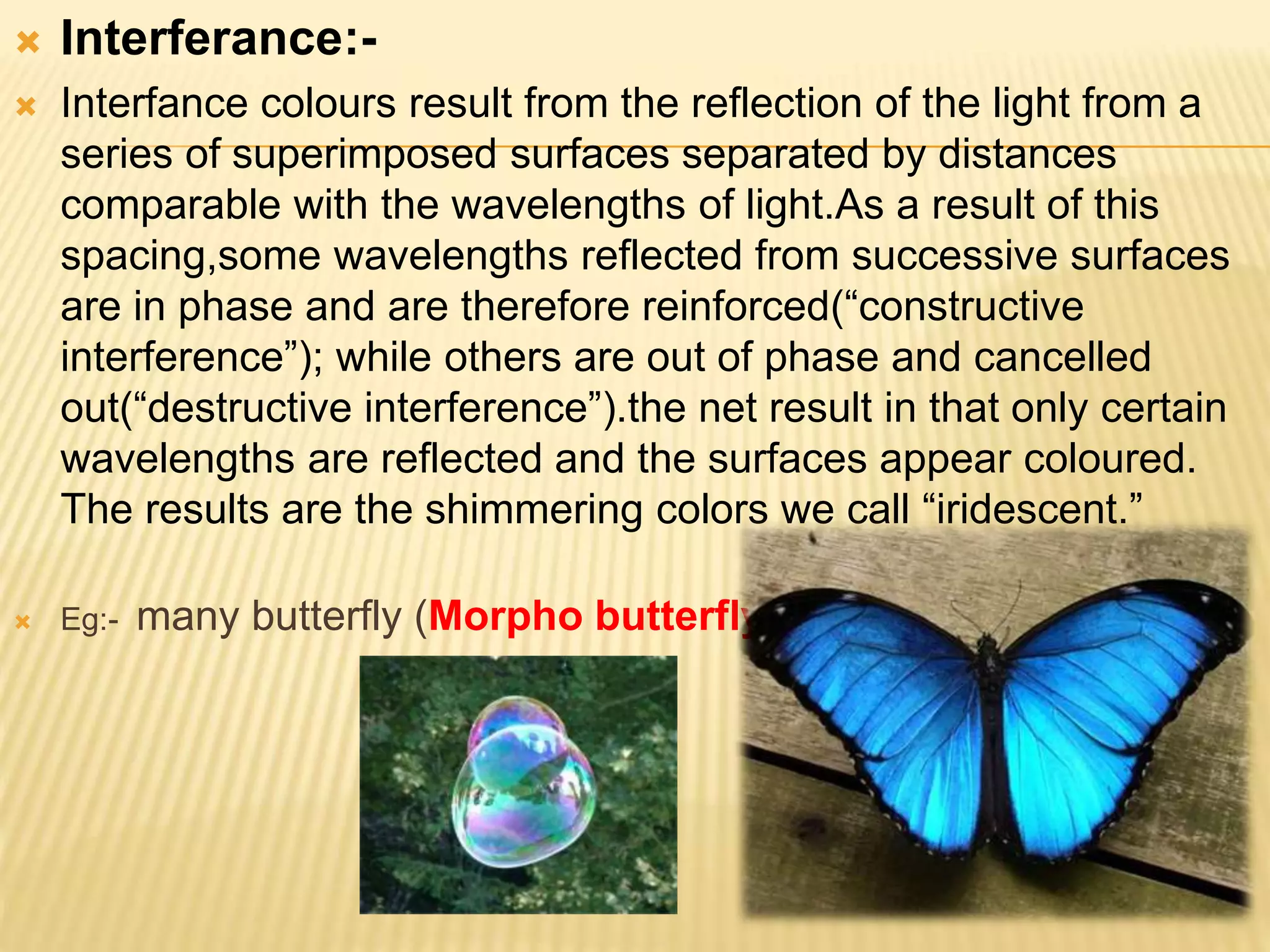 INSECT COLORATION | PPTX