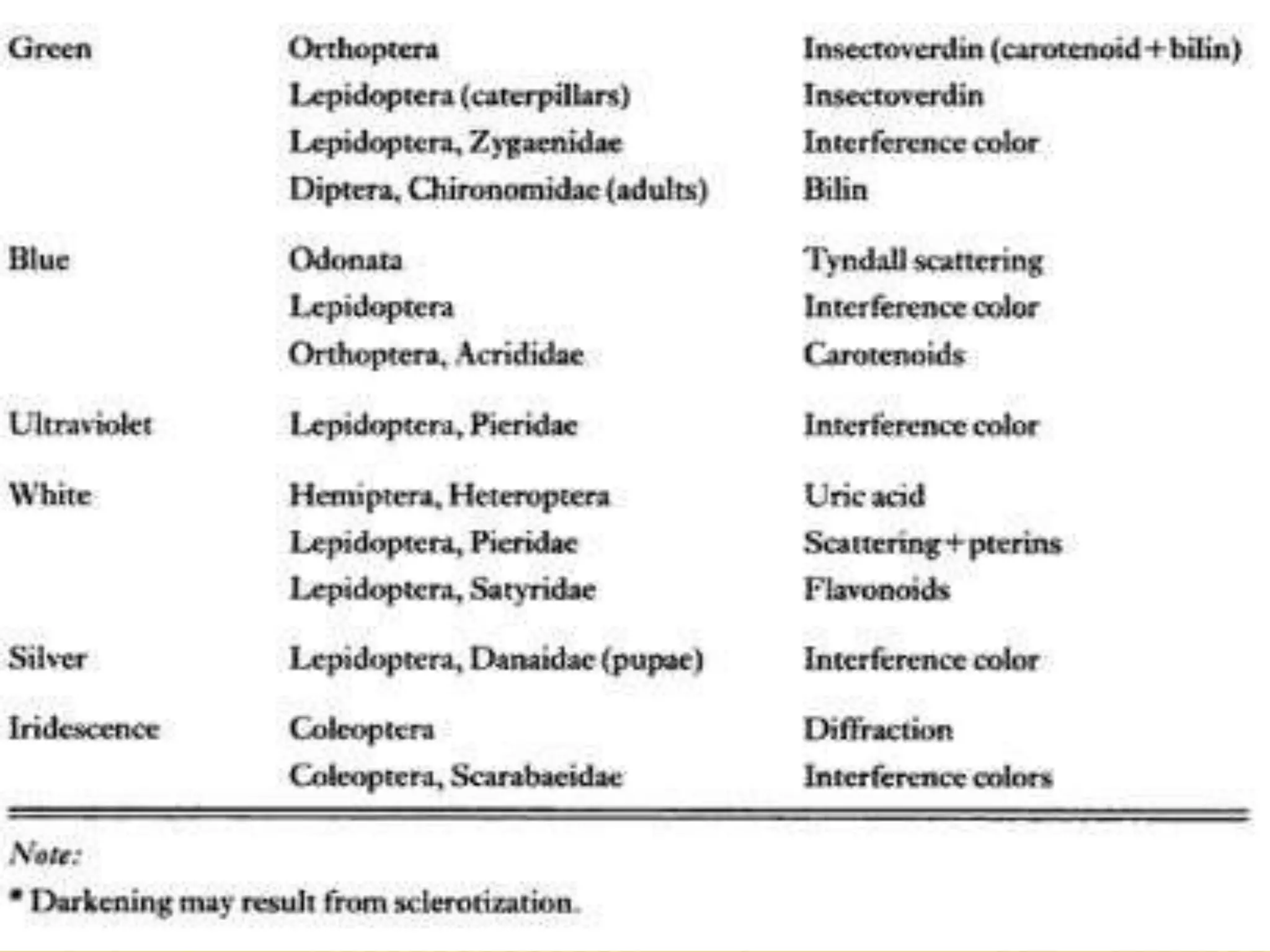 INSECT COLORATION | PPTX