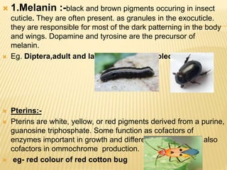 INSECT COLORATION | PPT