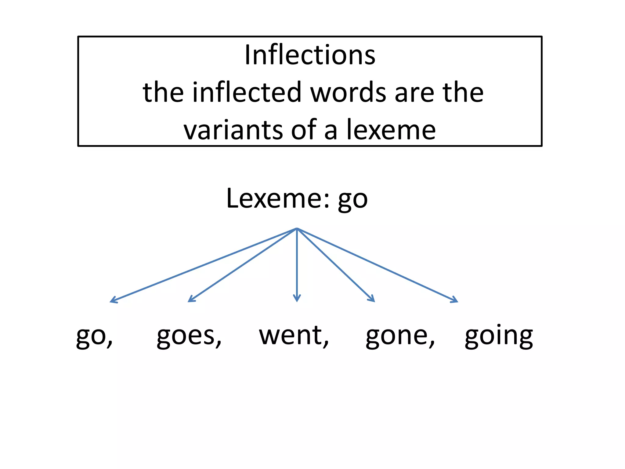 Morphology | PPT