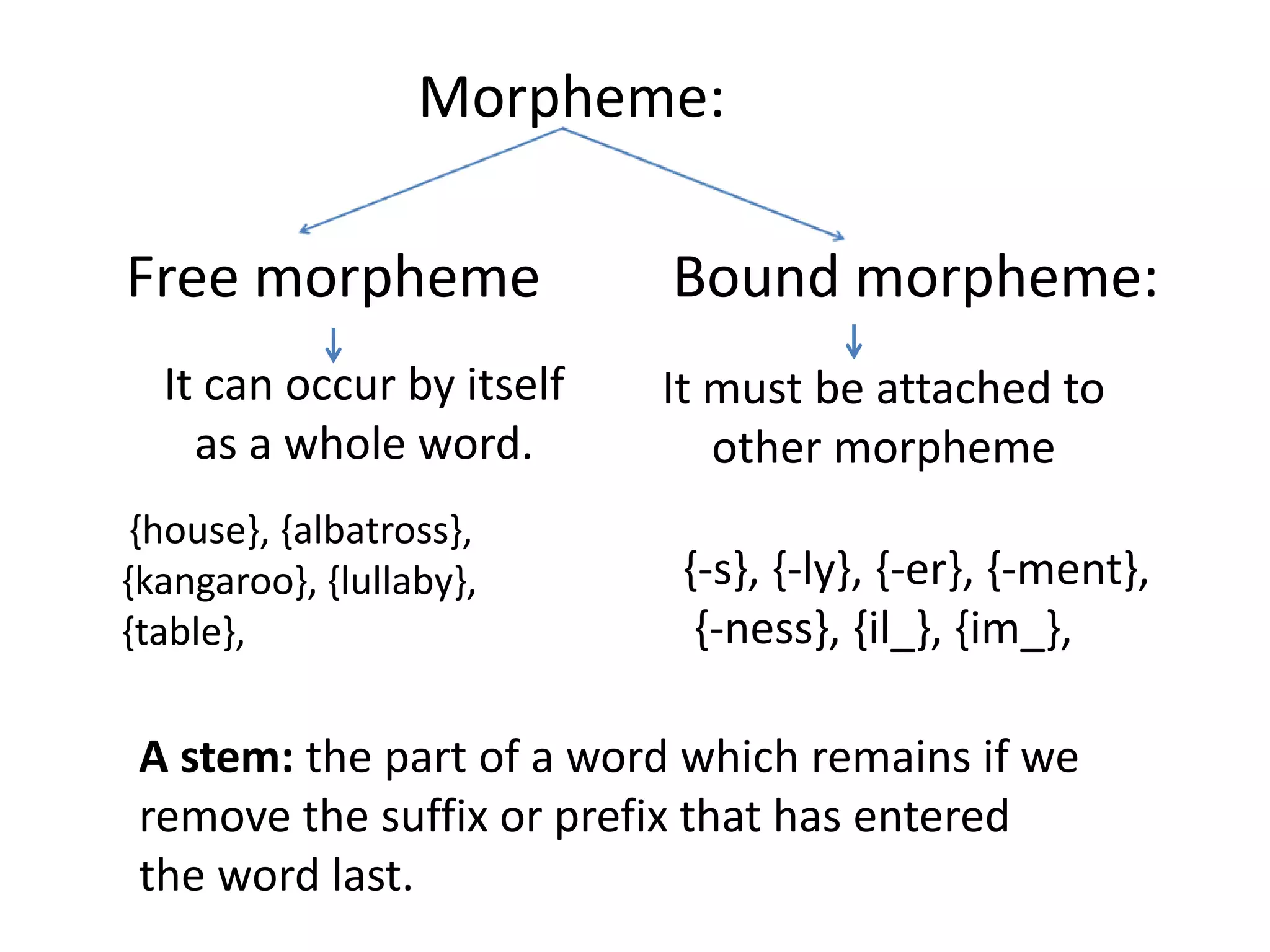 Morphology | PPT