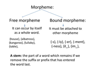 Morphology | PPT
