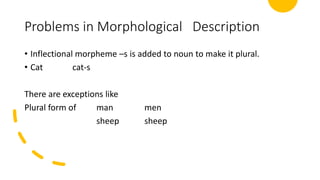 Morphology | PPTX