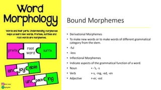 Morphology | PPTX