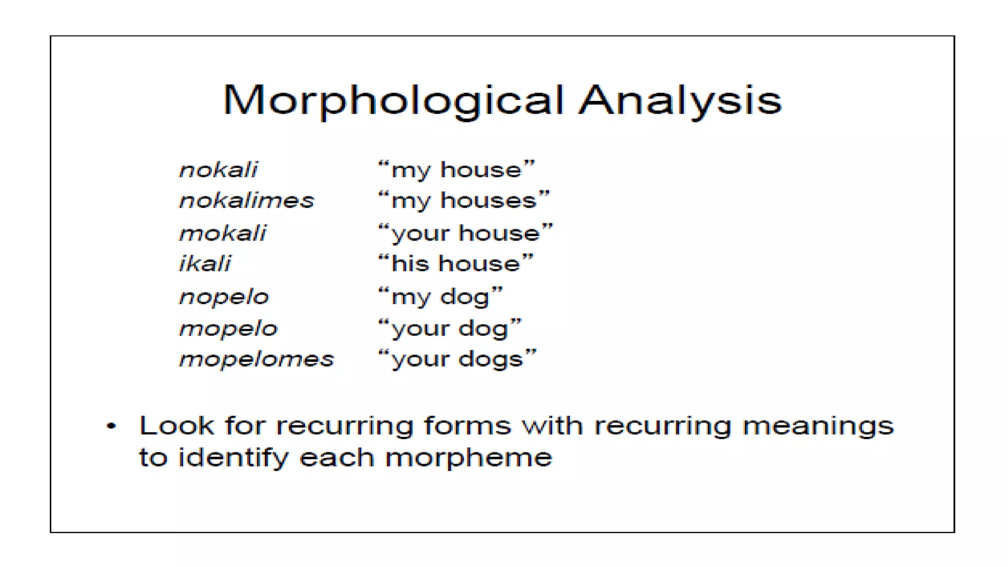 Morphology | PPT