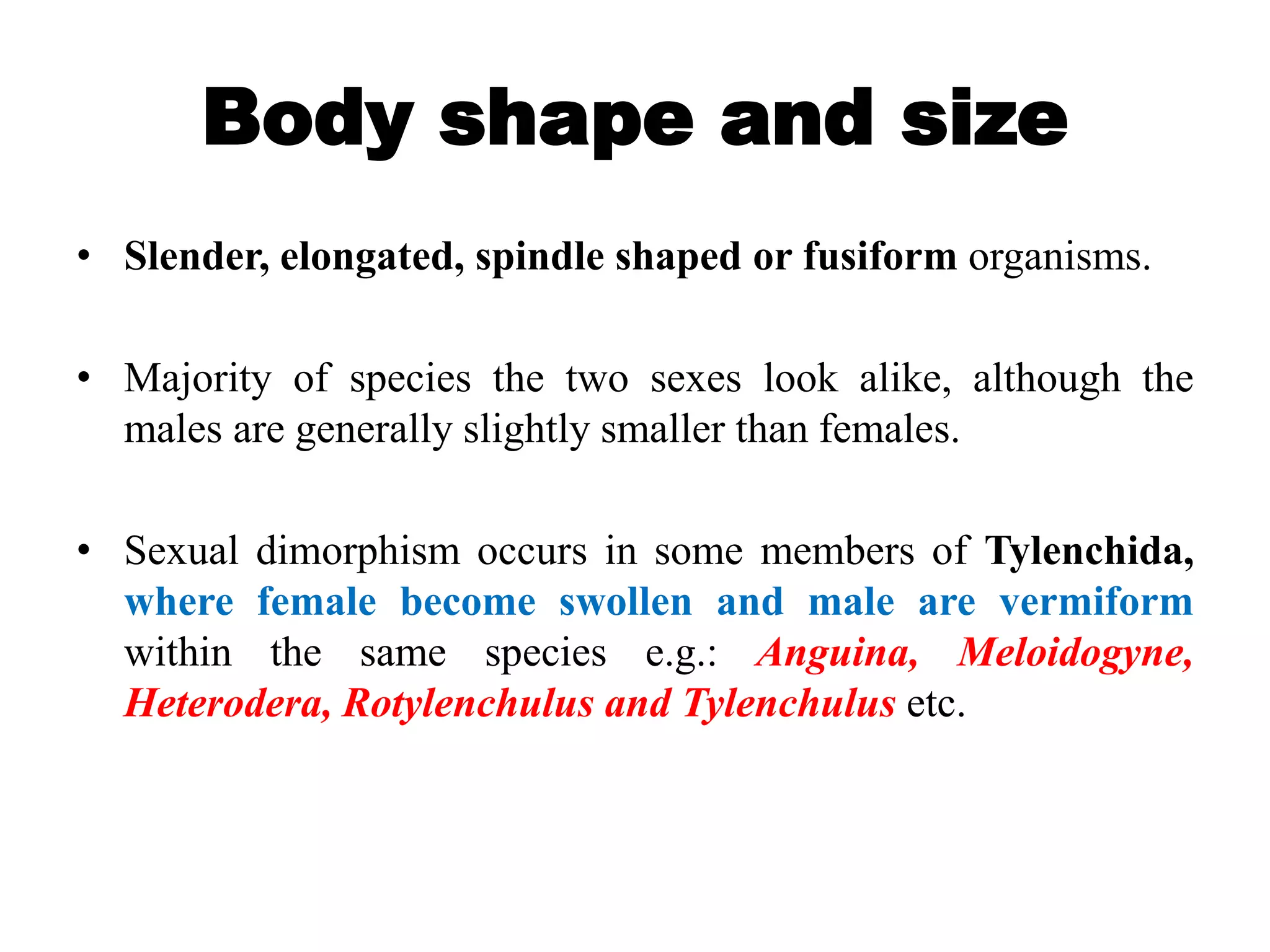 Morphology of nematodes | PPTX
