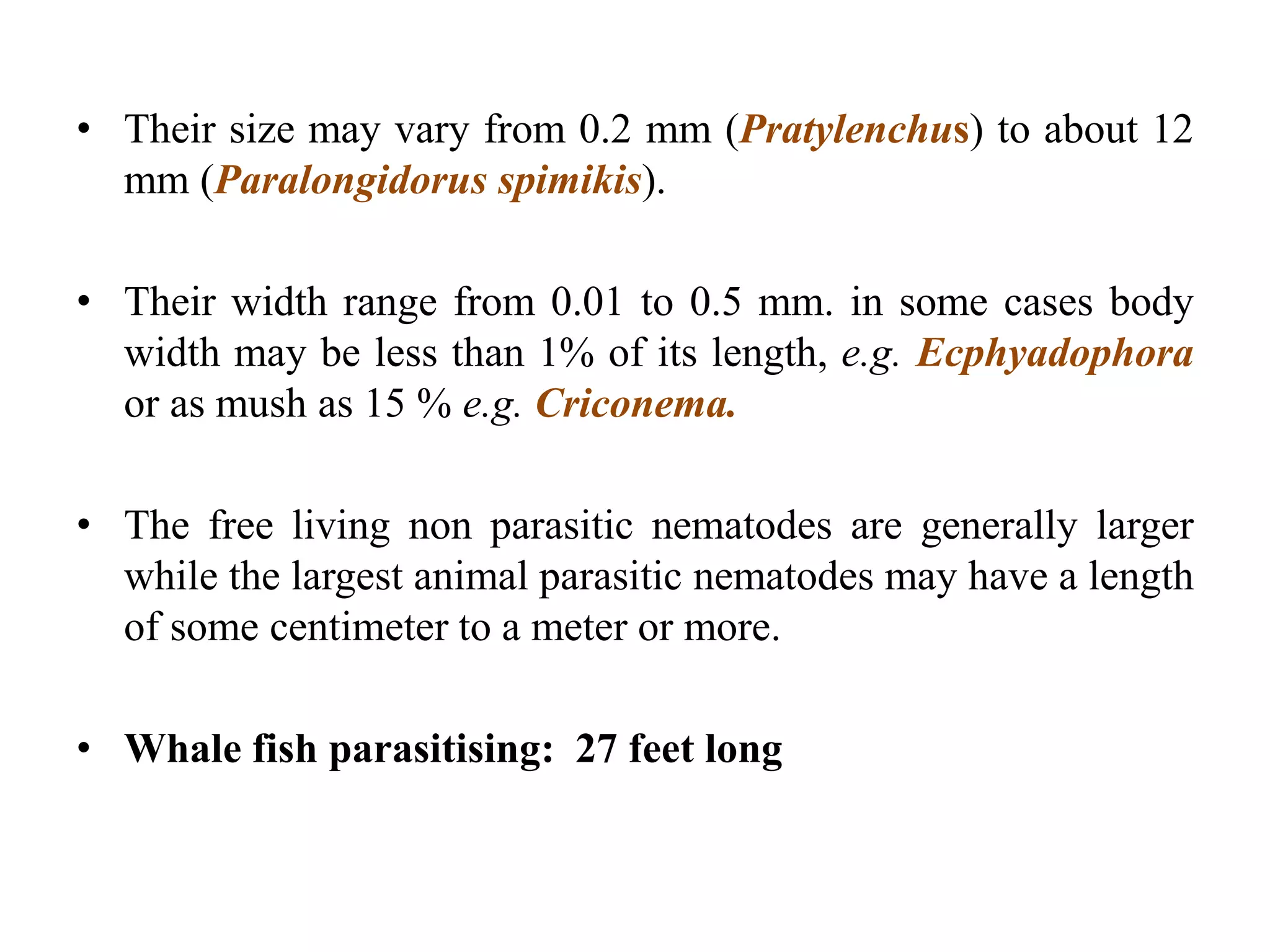 Morphology of nematodes | PPTX